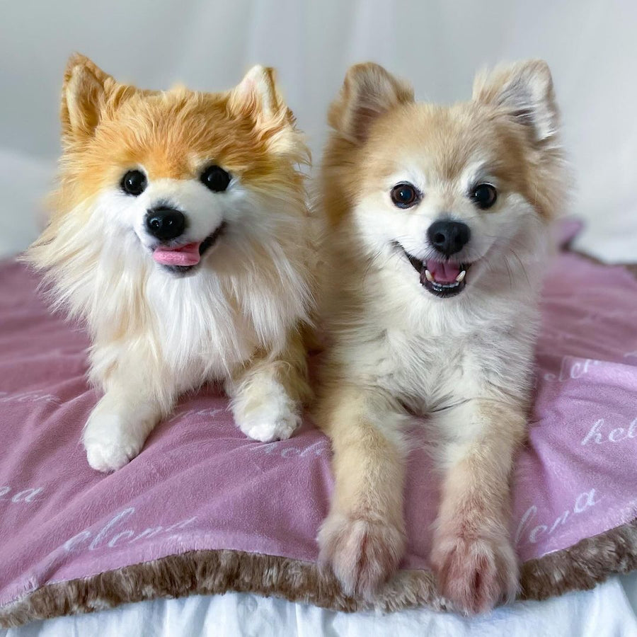 Custom Dog Stuffed Animal From Photo | Handmade Plush Service – Custom ...